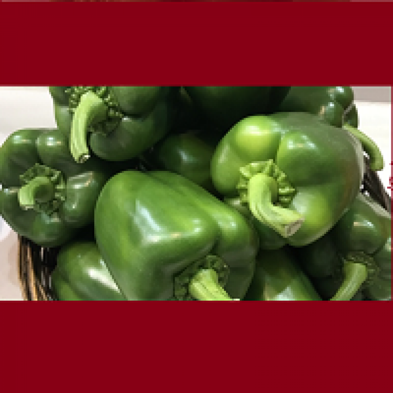 GEM – Vegetable Seeds
