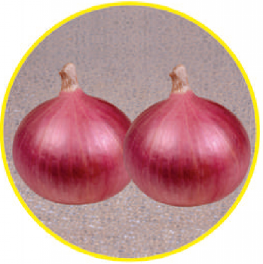 Prasiddhi – Vegetable Seeds