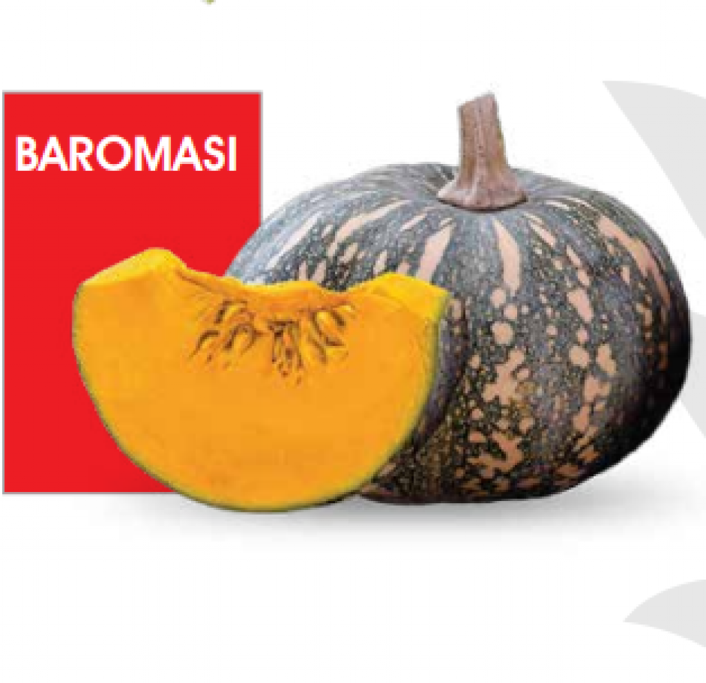 Pumpkin Baromasi – Vegetable Seeds