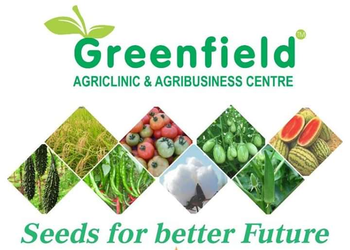 Greenfield Seeds – Products – Vegetable Seeds