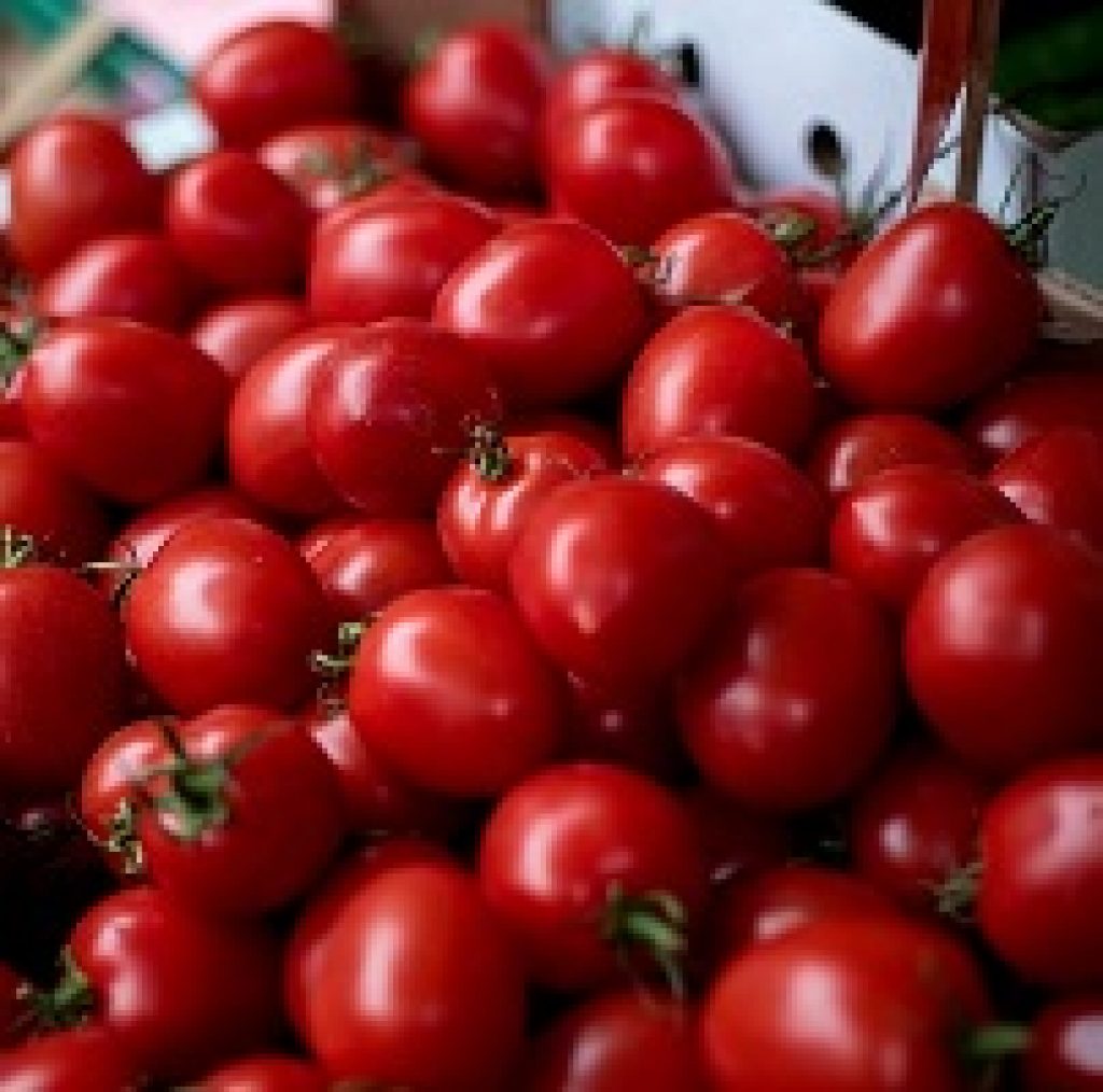 Tomato Seeds India – Vegetable Seeds