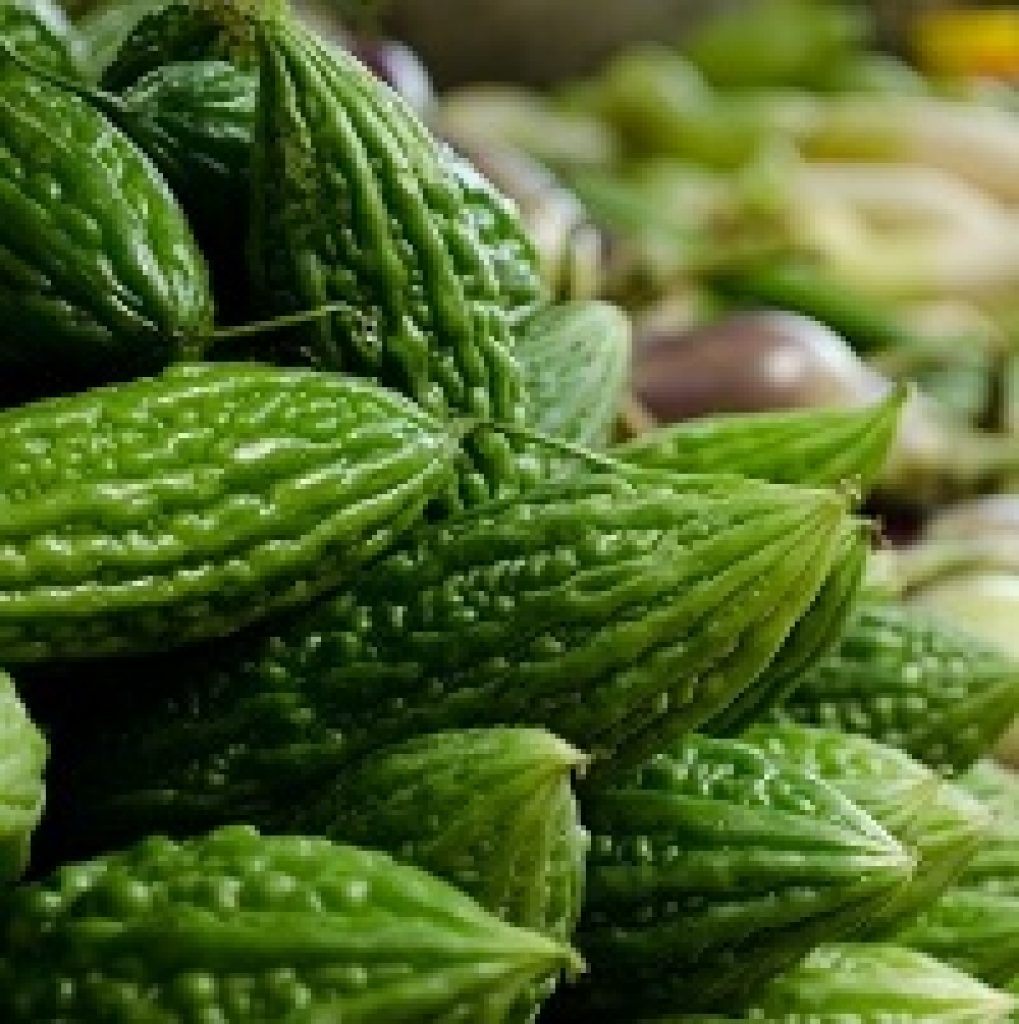 Vegetable Seeds Bangladesh – Vegetable Seeds