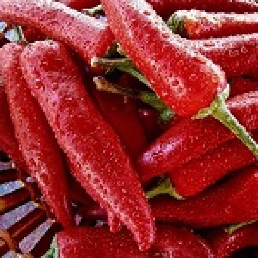 Vegetable Seeds Philippines – Vegetable Seeds